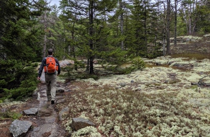 Acadia National Park – AirstreamDog