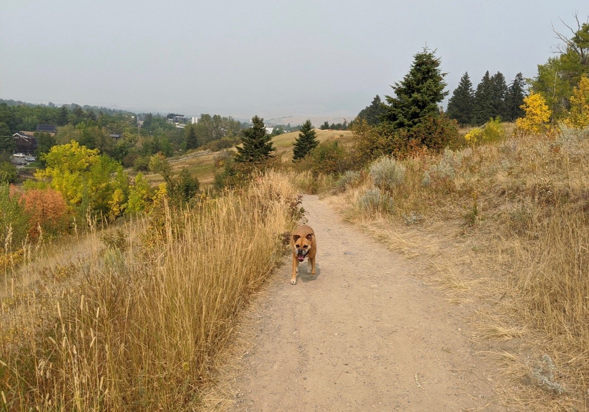 Three days in Bozeman, MT–Big Trip #3 – AirstreamDog
